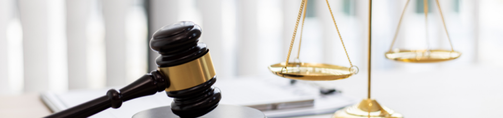 Child Protection - Centre for Child and The Law